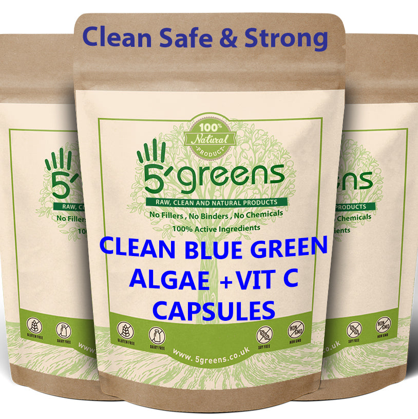 Blue Green Algae Capsules Spirulina Chlorella + Vitamin C – 5greens